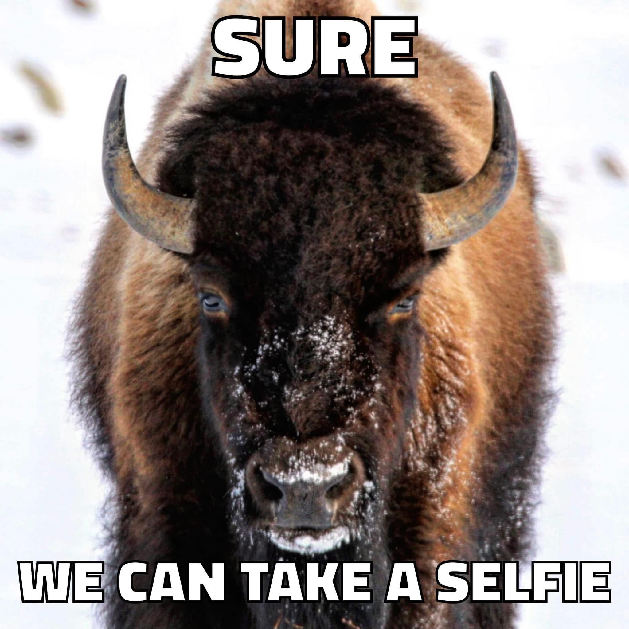 Bronco Memes and Funnies - Bronco Nation