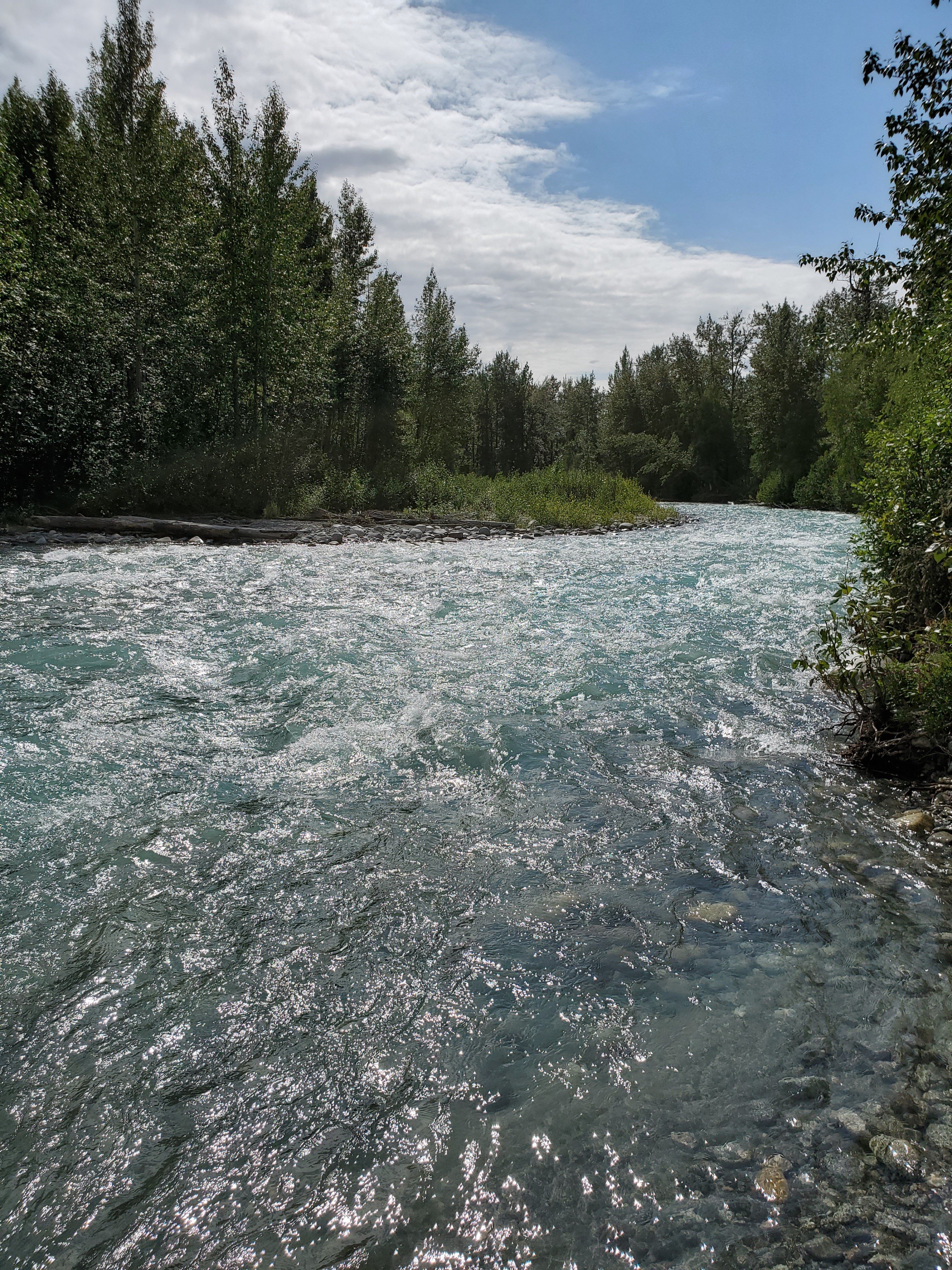 Kings river trail Ak - Bronco Nation
