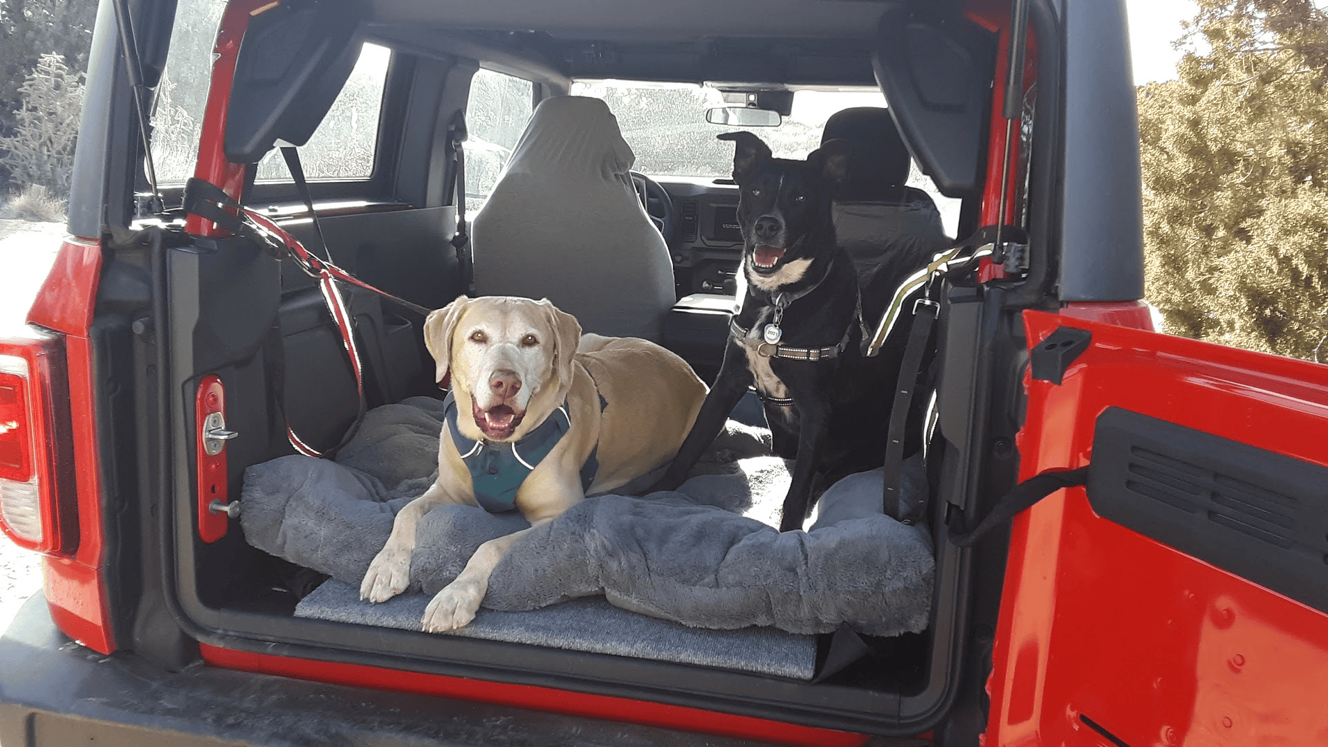 2 door Rear Seat Delete - built for