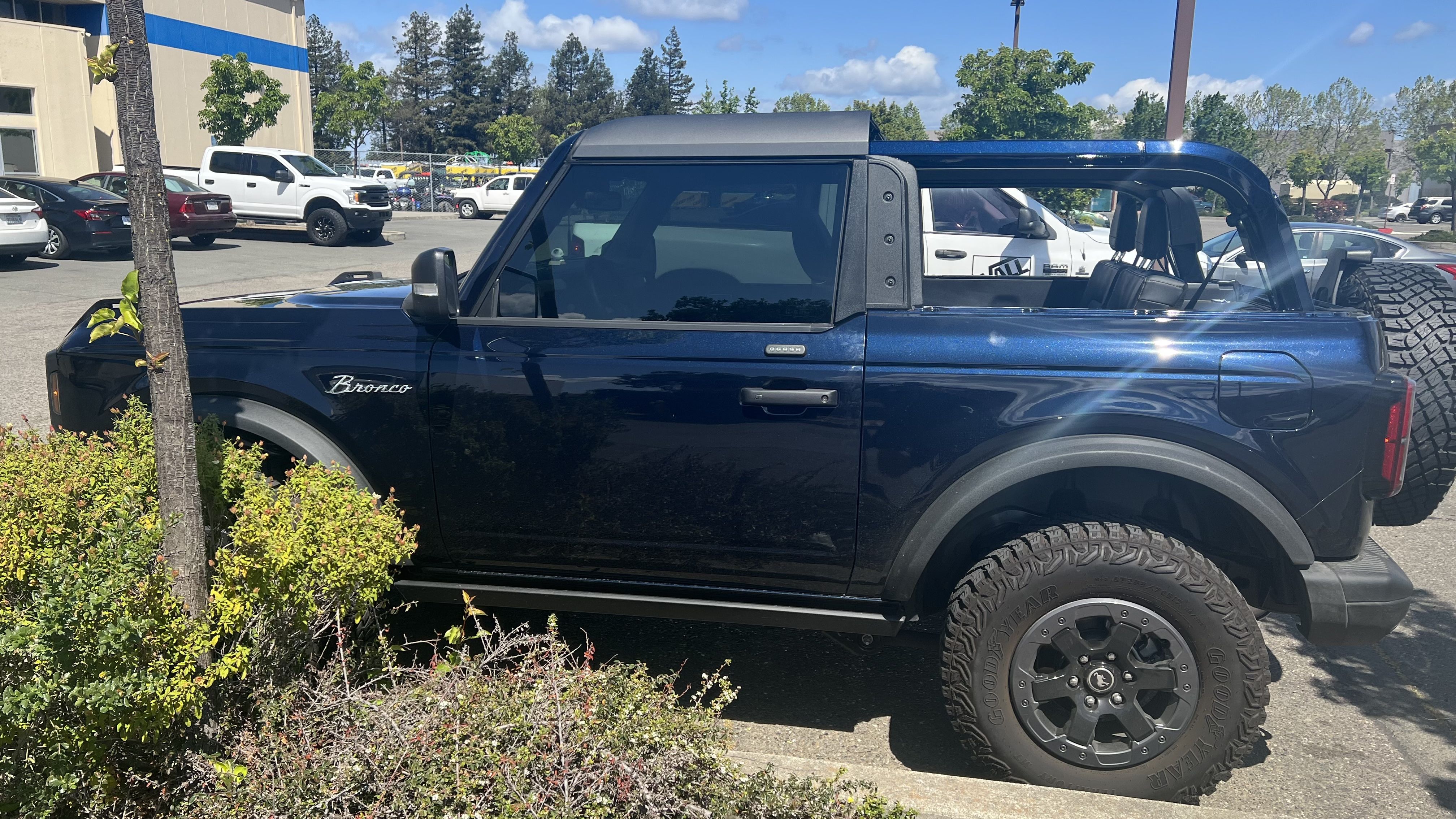 Caught in the Rain - Bronco Nation