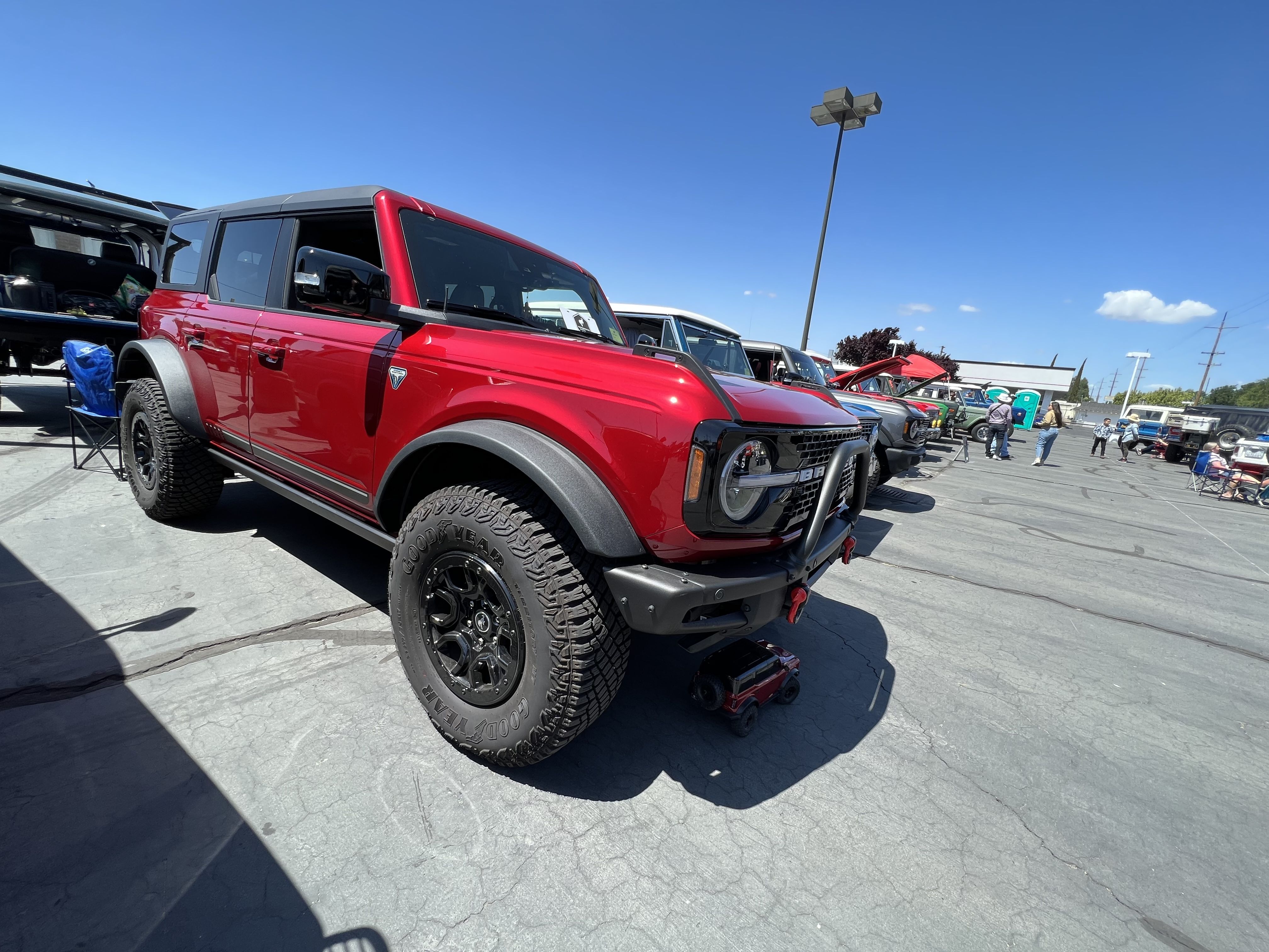 Wild Horses Bronco Roundup - Bronco Nation