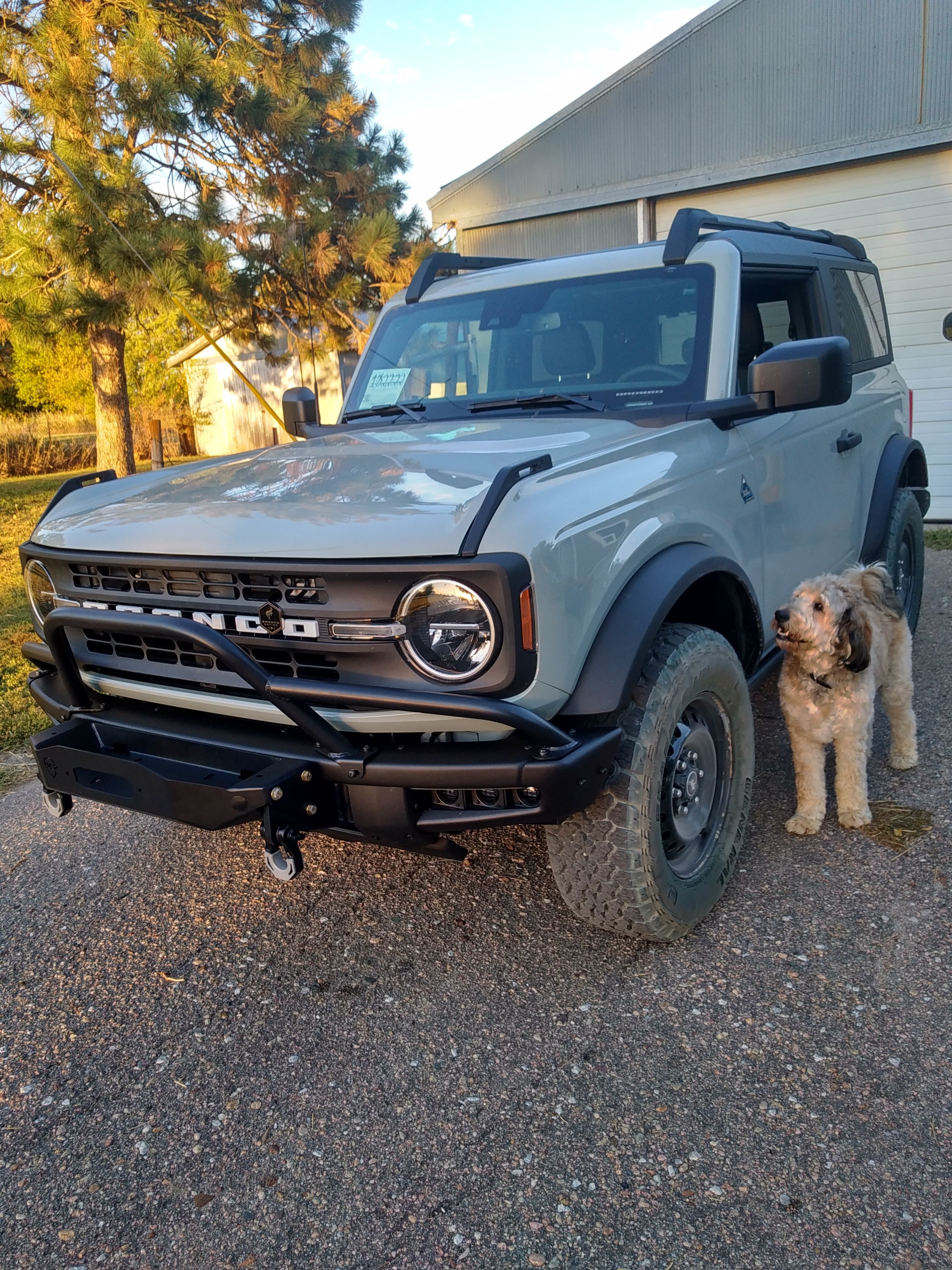 Let’s see your Bronco buddies (pet pics please) - Bronco Nation