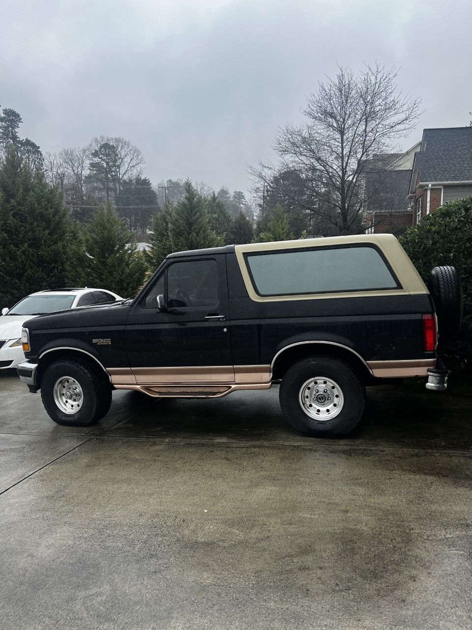 FOR SALE - 1995 Ford Bronco Eddie Bauer Edition - PAUL WALKER COLOR ...