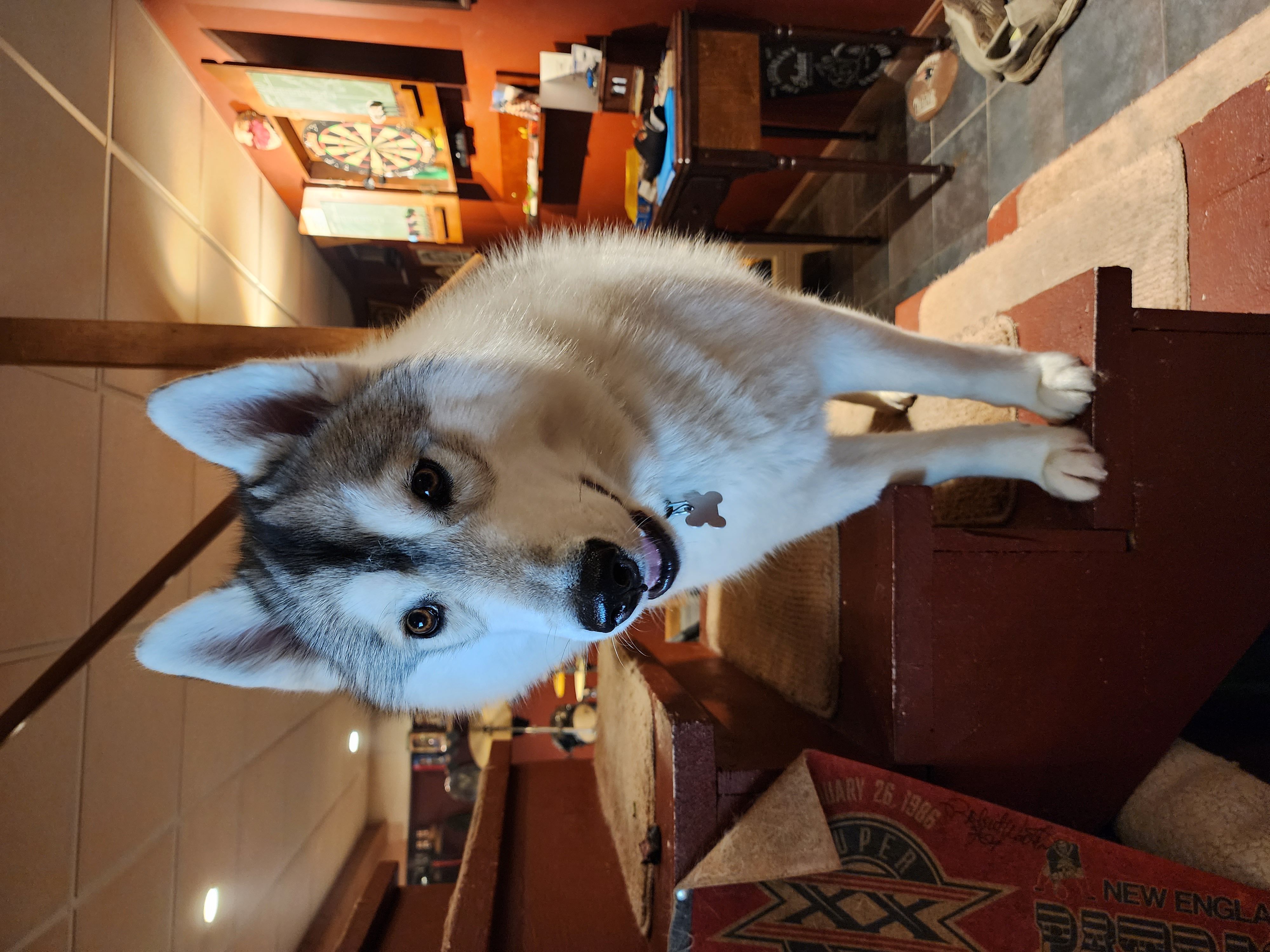 Lost a Bronco Buddy - Bronco Nation