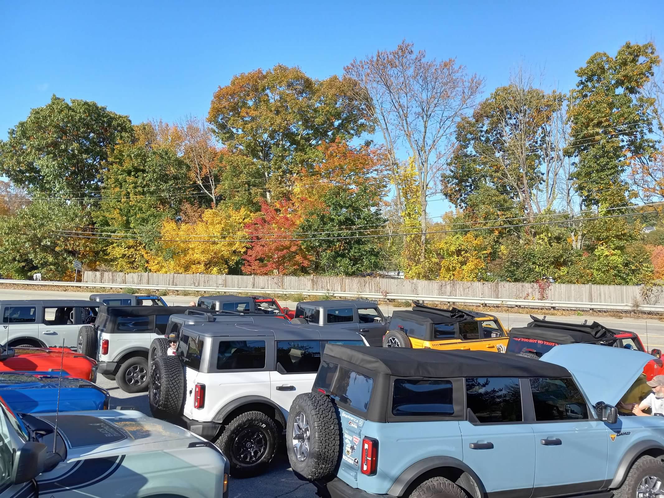 Fall-themed Bronco images - Bronco Nation