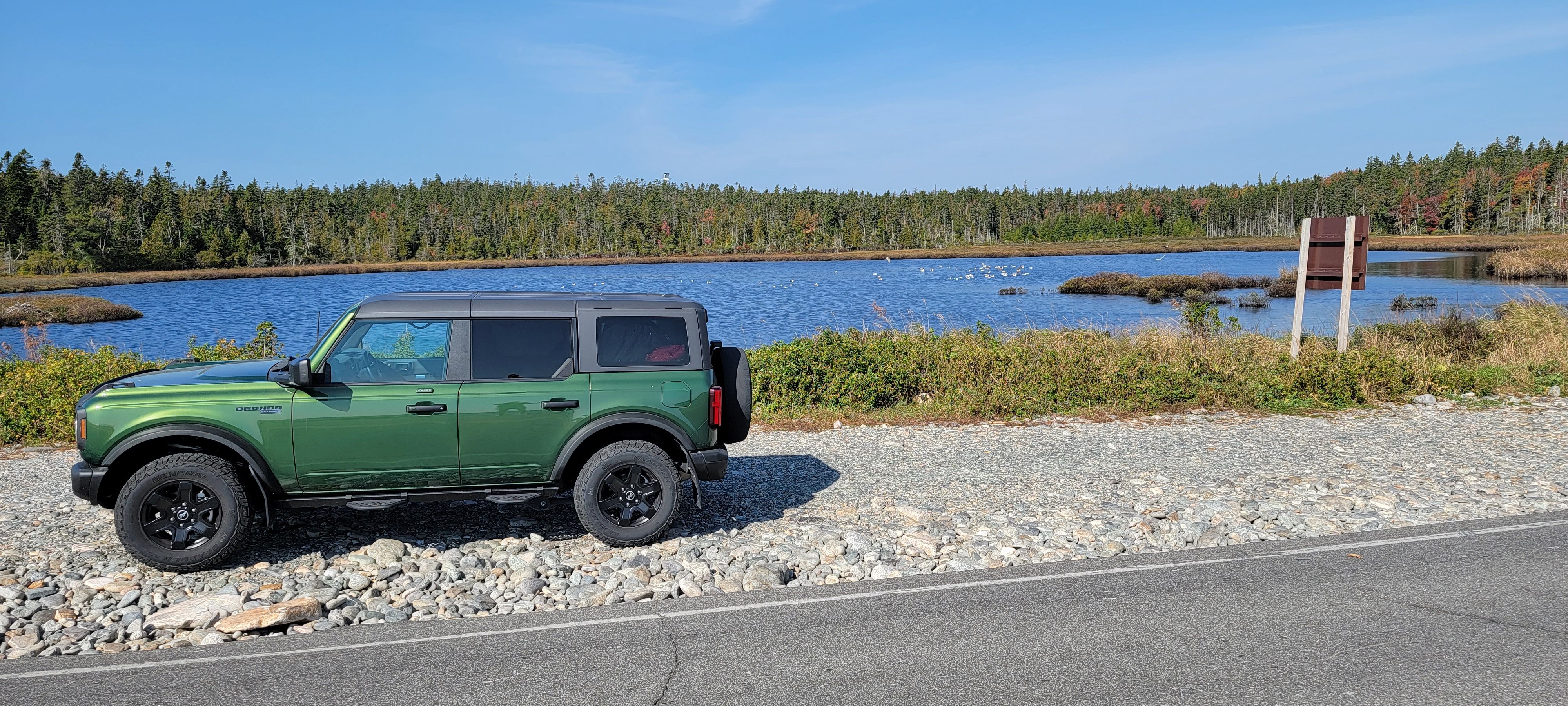Fall-themed Bronco images - Bronco Nation