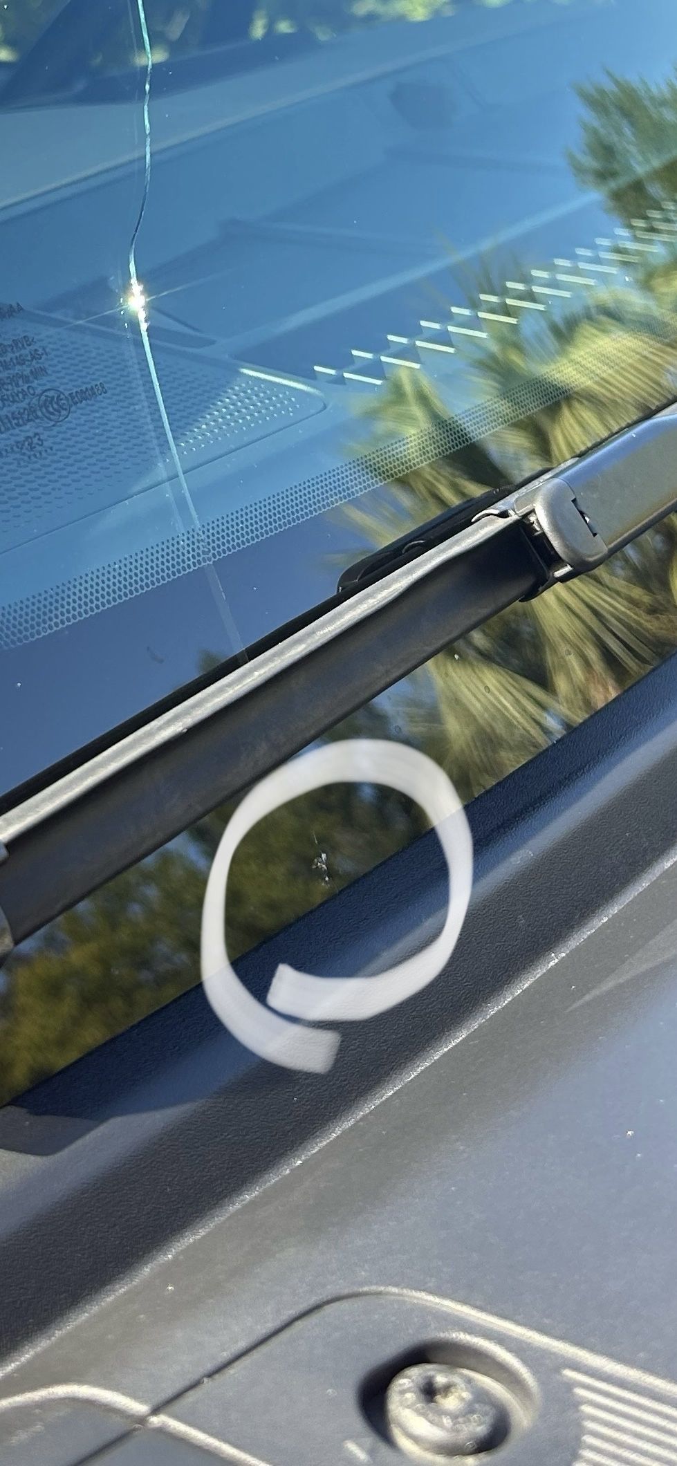 Bugs on windshield - Bronco Nation