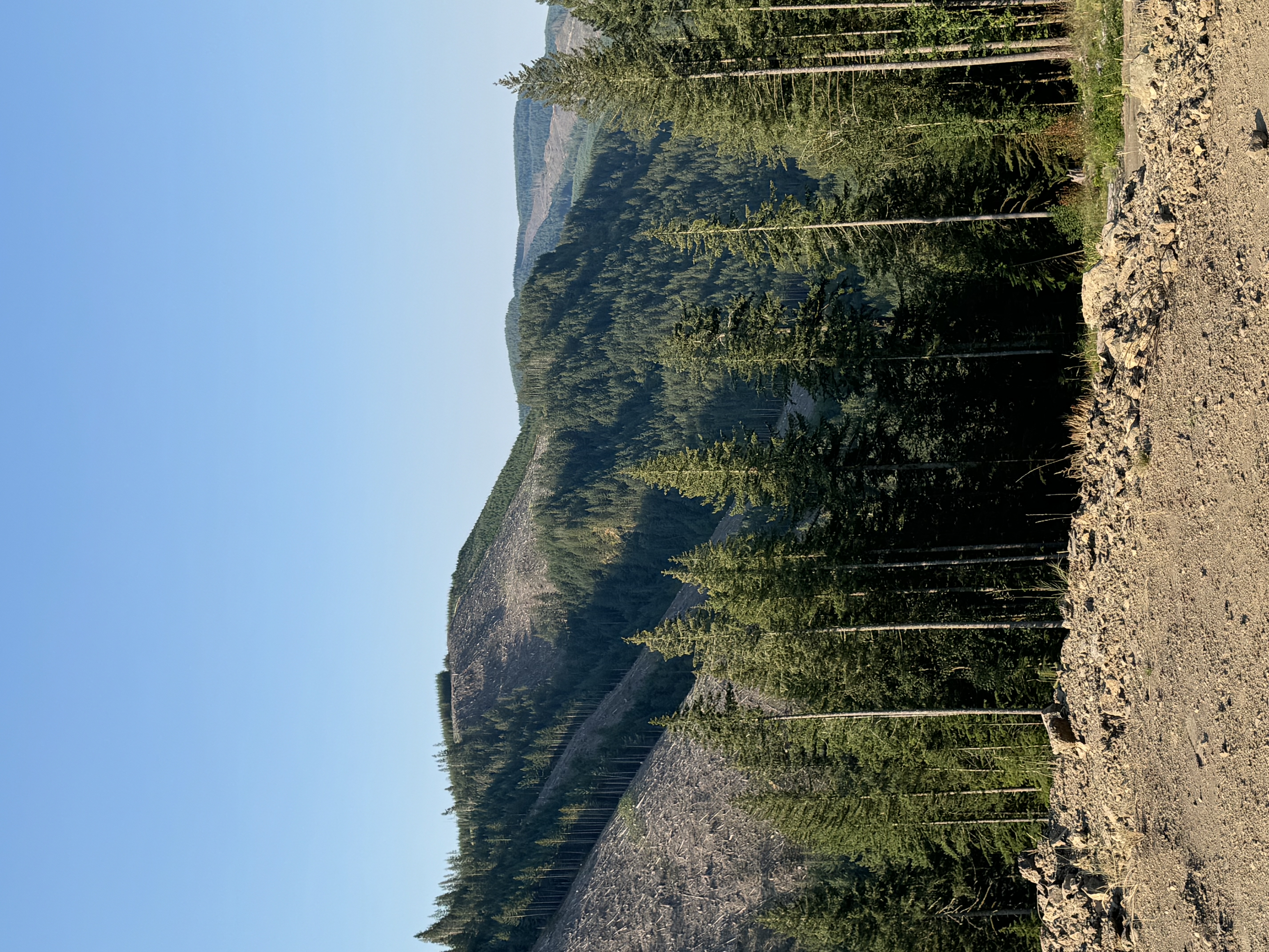 A day of trail mapping and pucker factor maxed on one trail! (long post ...