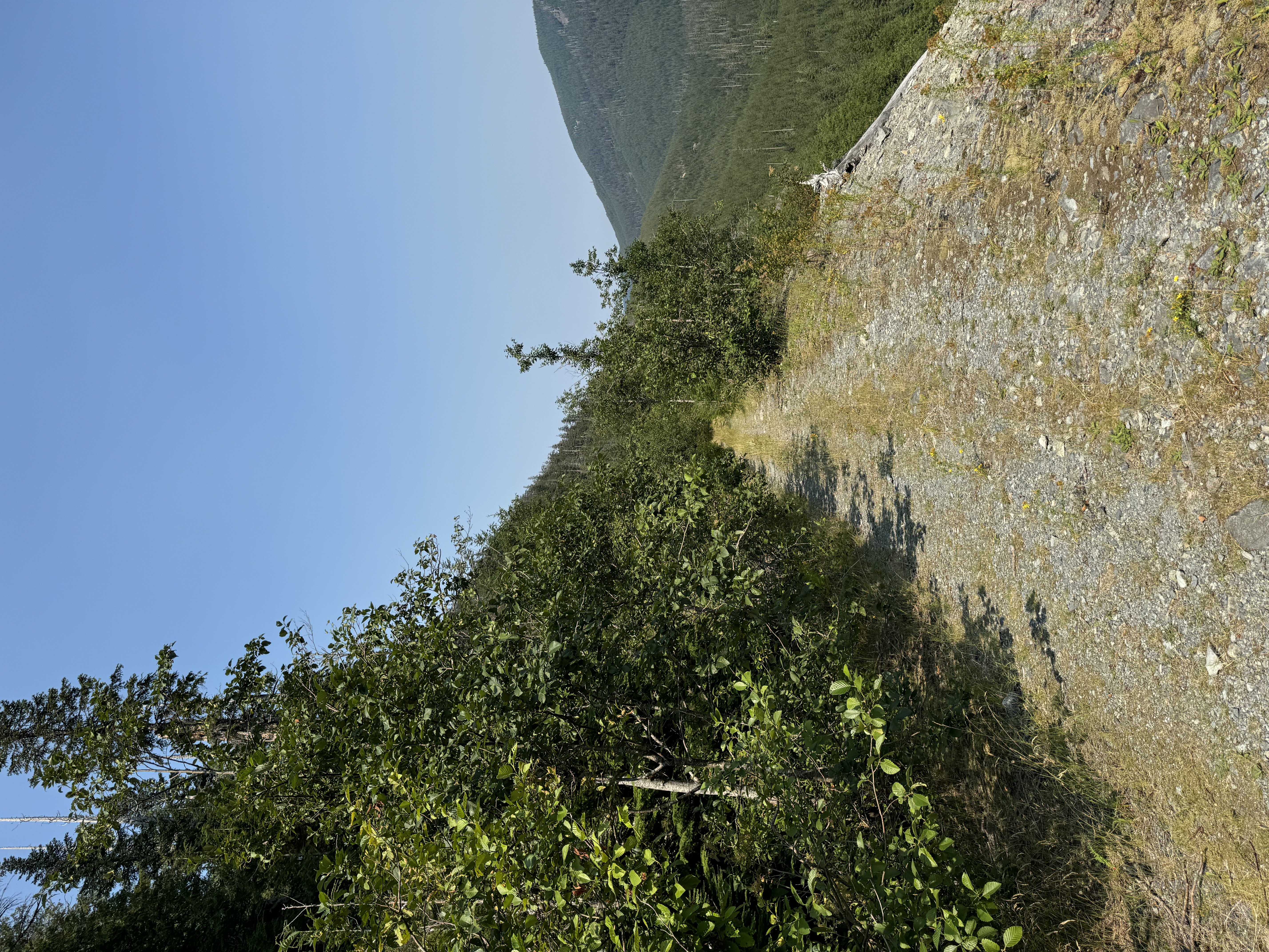 A day of trail mapping and pucker factor maxed on one trail! (long post ...