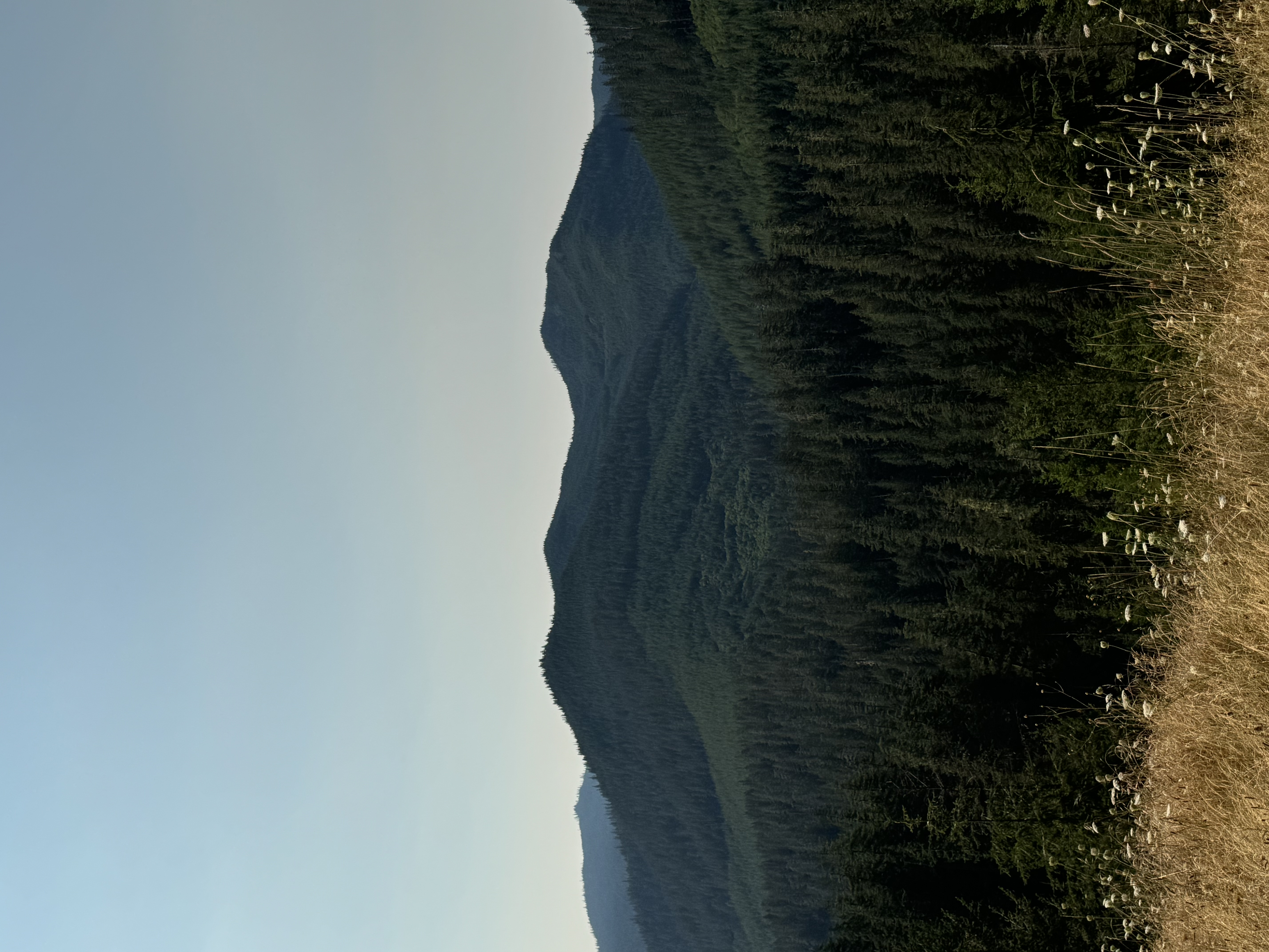 A day of trail mapping and pucker factor maxed on one trail! (long post ...