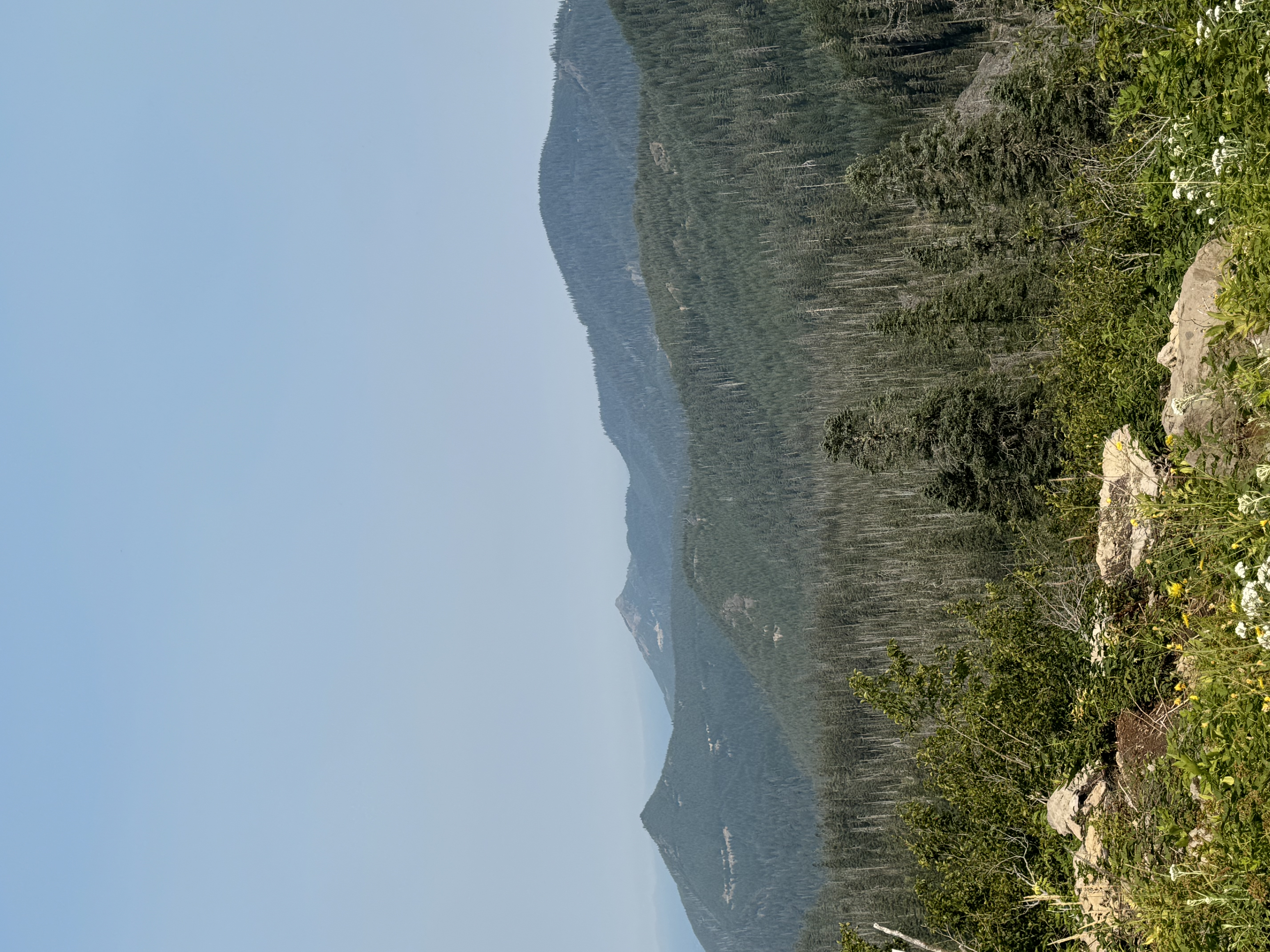 A day of trail mapping and pucker factor maxed on one trail! (long post ...