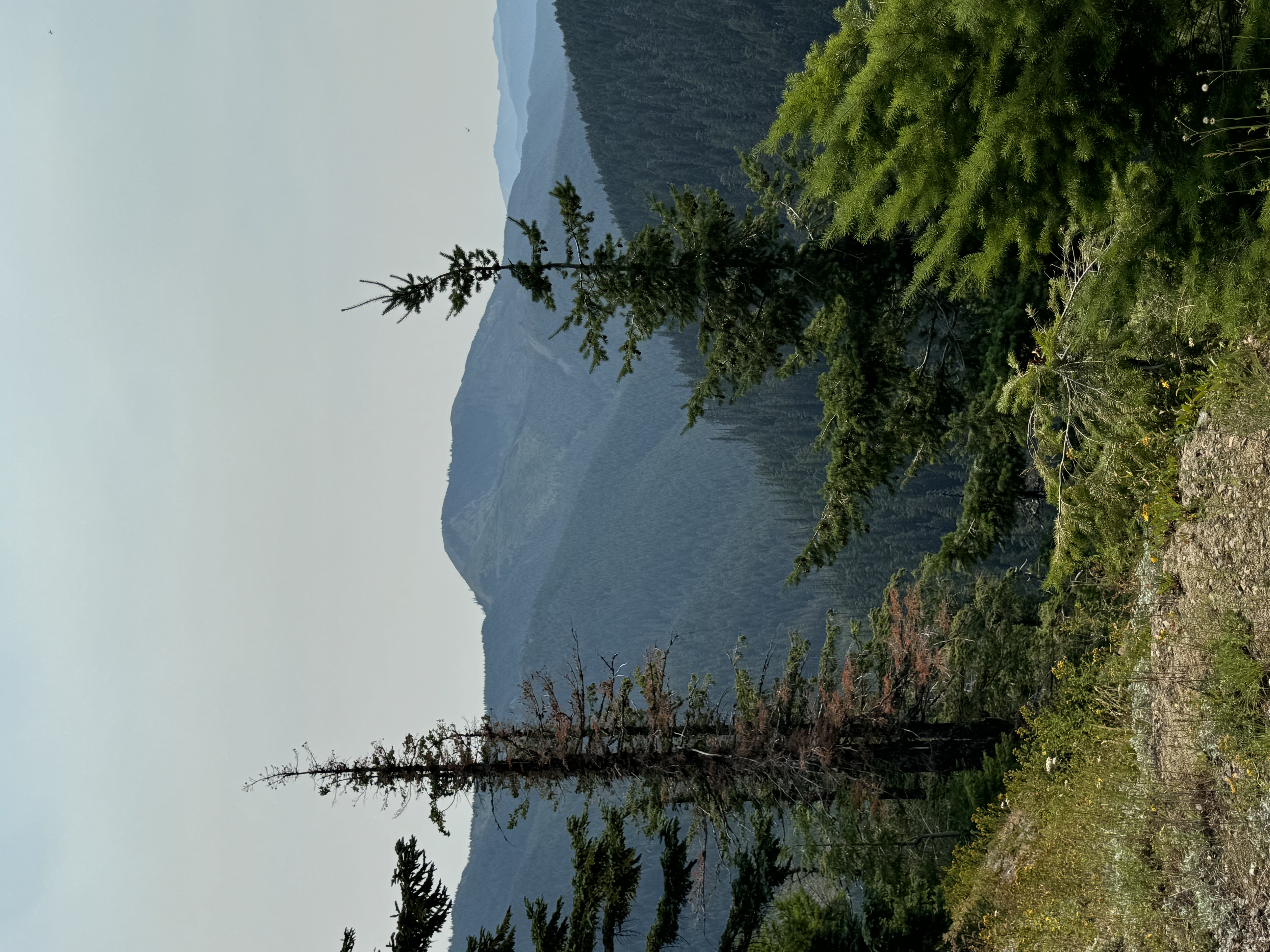 A day of trail mapping and pucker factor maxed on one trail! (long post ...