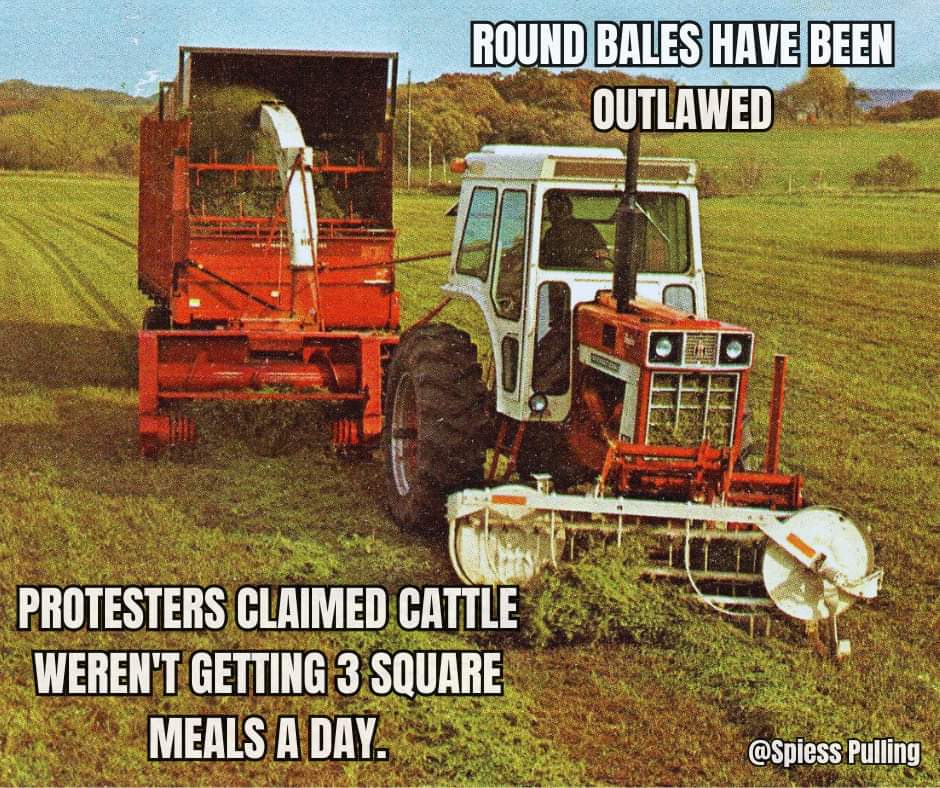 Bronco Memes and Funnies - Bronco Nation