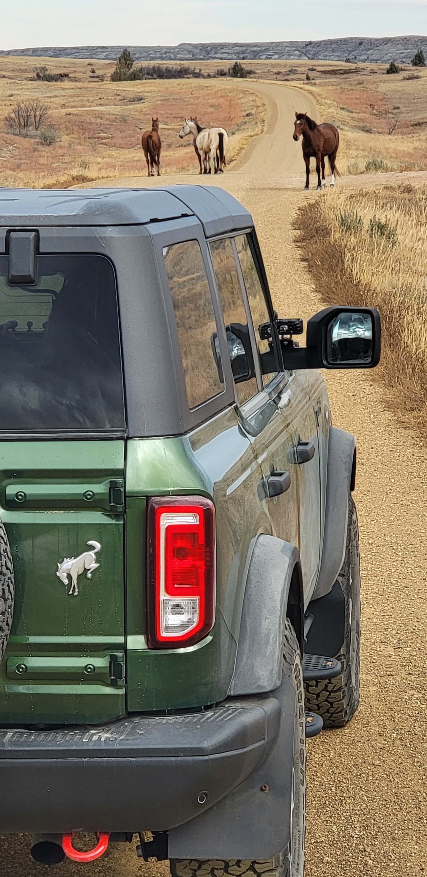 Fall-themed Bronco images - Bronco Nation