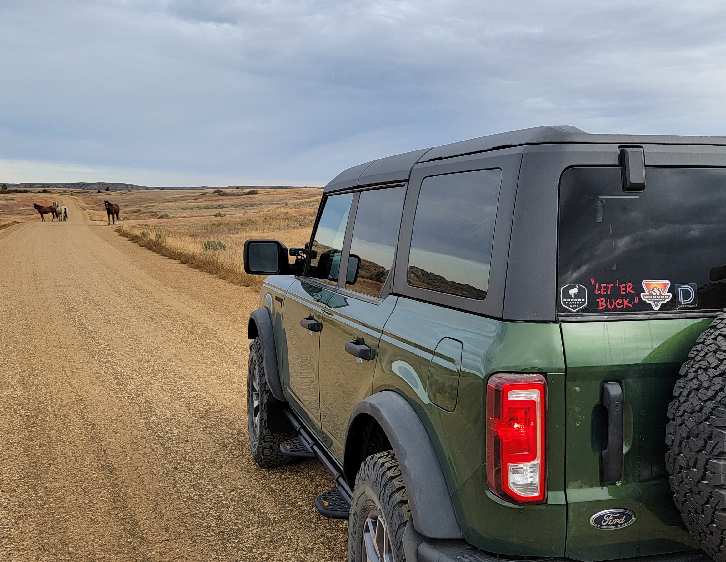 Fall-themed Bronco images - Bronco Nation