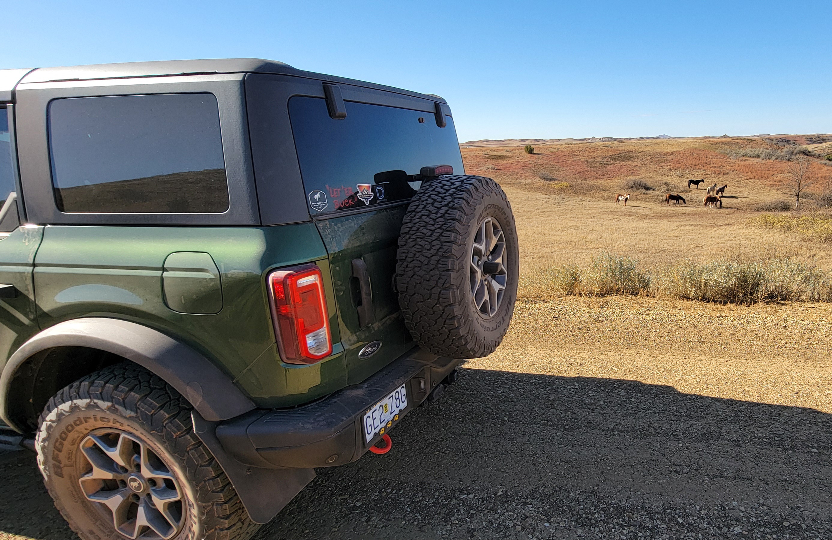 Fall-themed Bronco images - Bronco Nation
