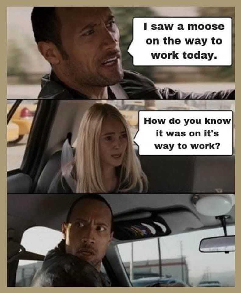 Bronco Memes and Funnies - Bronco Nation