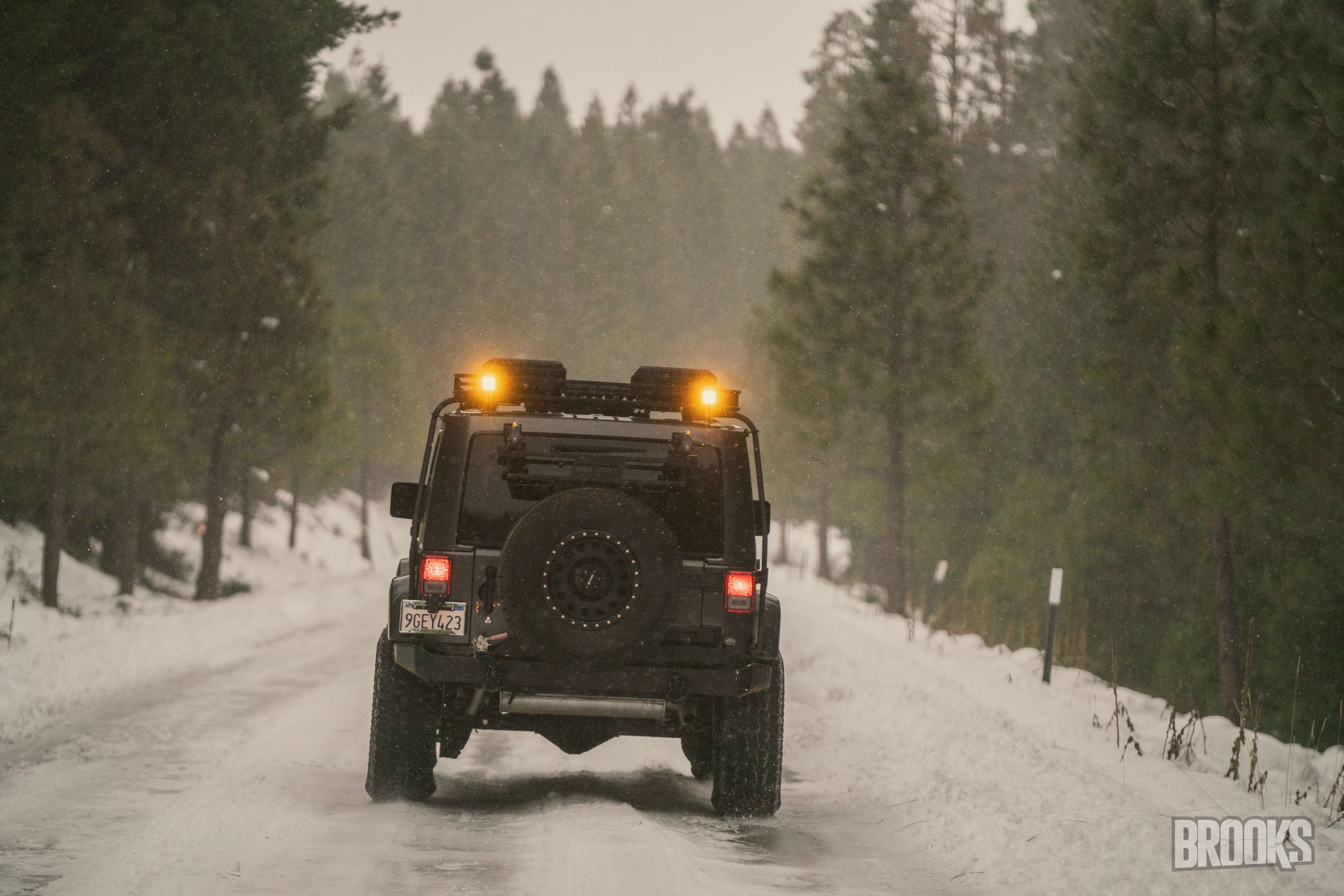 Another fun outing - this time with dozens of Jeeps (gasp!) - Bronco Nation