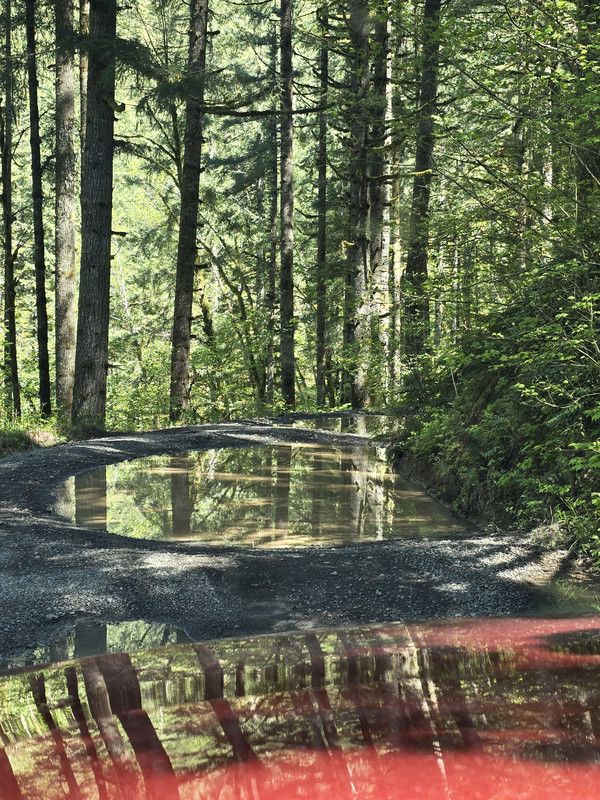 Gifford National Forest Camping and 4x4 Trip: (photo HEAVY) - Bronco Nation